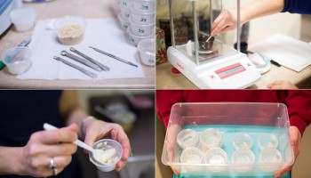 Peanut Desensitization Program | Peanut Allergies Treatment at New ...